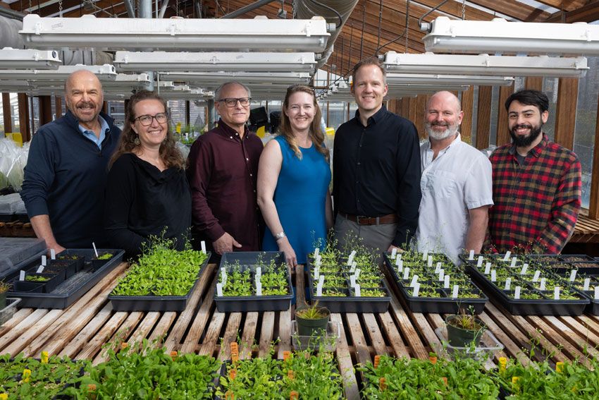 Harnessing Plants - Salk Institute for Biological Studies