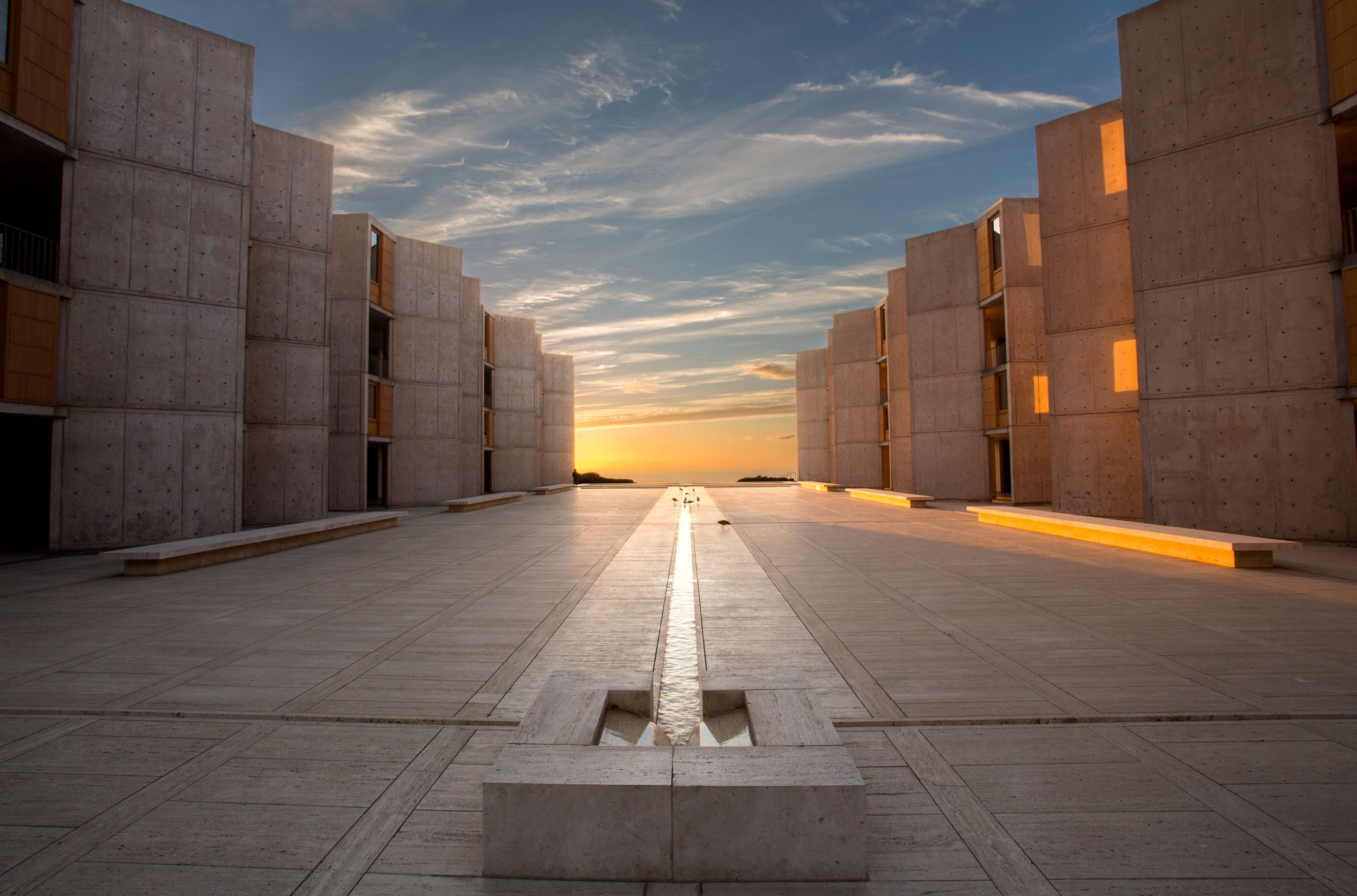 Power of Plants Video Testing - Salk Institute for Biological Studies